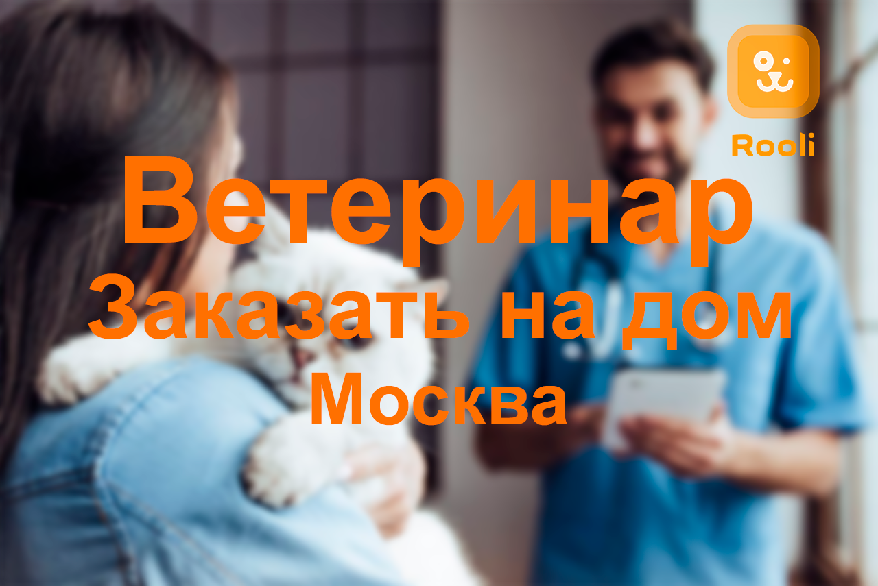 Ветеринар в Москве: Лучшие врачи, услуги на дому и круглосуточная помощь для ваших питомцев
