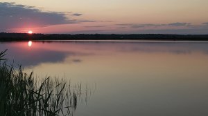 С ночевкой за карасем. На фидер, попытка номер два.