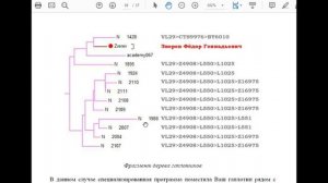 Мой тест ДНК на гаплогруппу + история моих предков и родни. Архив