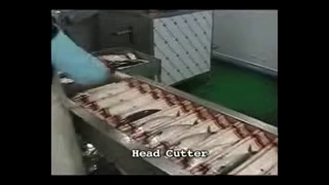 Головоруб дисковый, слайсер для отрезания головы у рыбы среднего размера: сельдь, скумбрия, ставрида