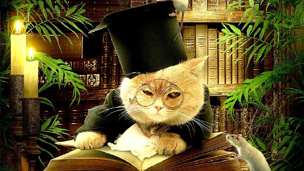 Котэ Саратовский. Симпатичные коты кошки котята Смех Приколы.
