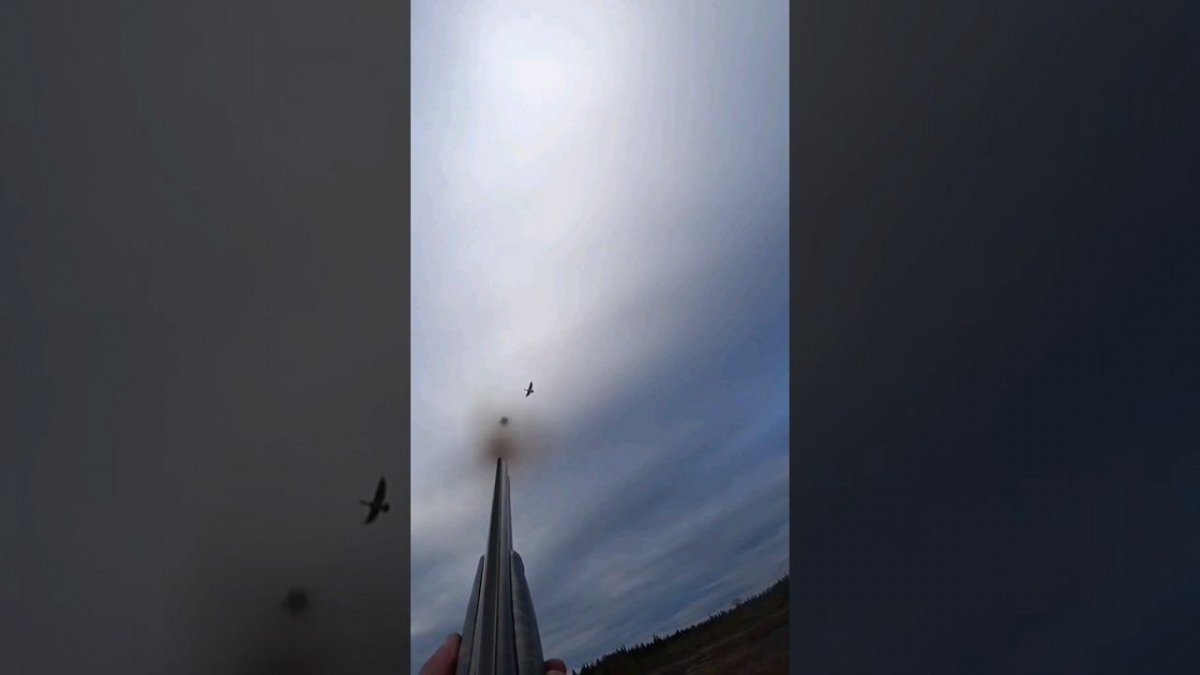 С Охоты На рыбалку на RUTUBE: 157 видео – смотреть онлайн и бесплатно ...