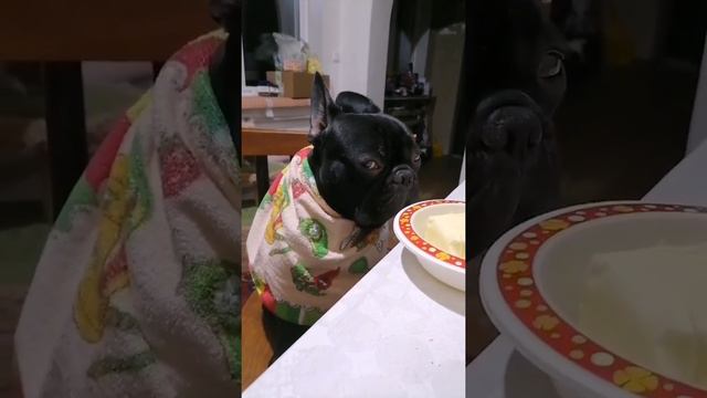 VID 105060926 082622 850
