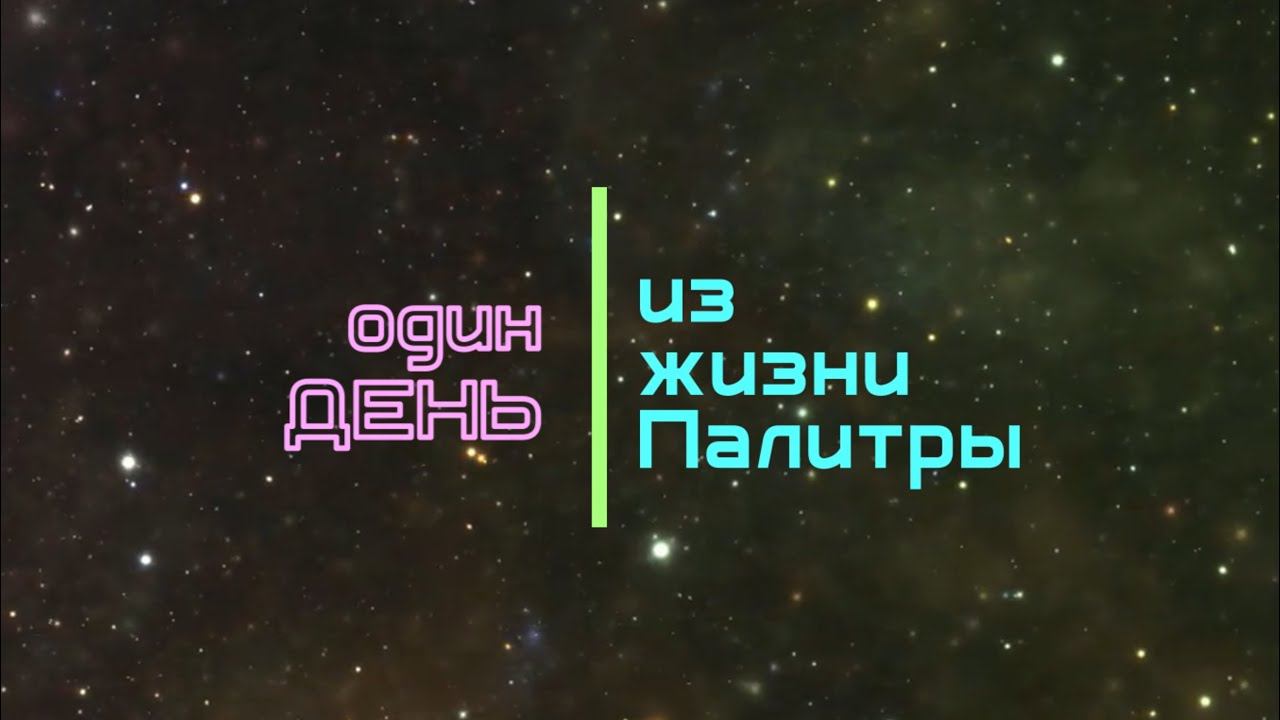 Один день из жизни в Палитре. 2021