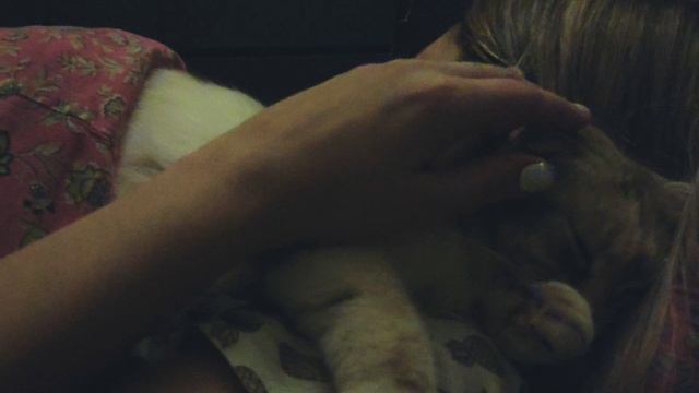 VID_20230204_014619