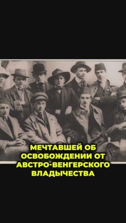 Повод для войны #shorts