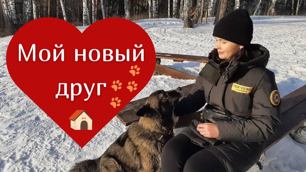 Из жизни таролога | Мой новый друг | Приютили собаку