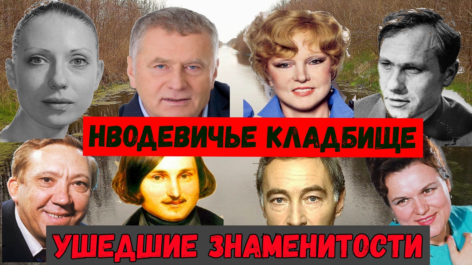 Москва.НОВОДЕВИЧЬЕ кладбище.Инна Чурикова,Владимир Жириновский.АРТИСТЫ,ПОЛИТИКИ.Последнее пристанище
