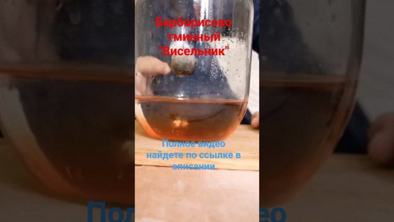 Как работает экстракция спиртовыми парами методом "Висельник" на самогоне #алкоголь #настойка