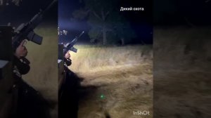 World pig record set in less than 30 seconds