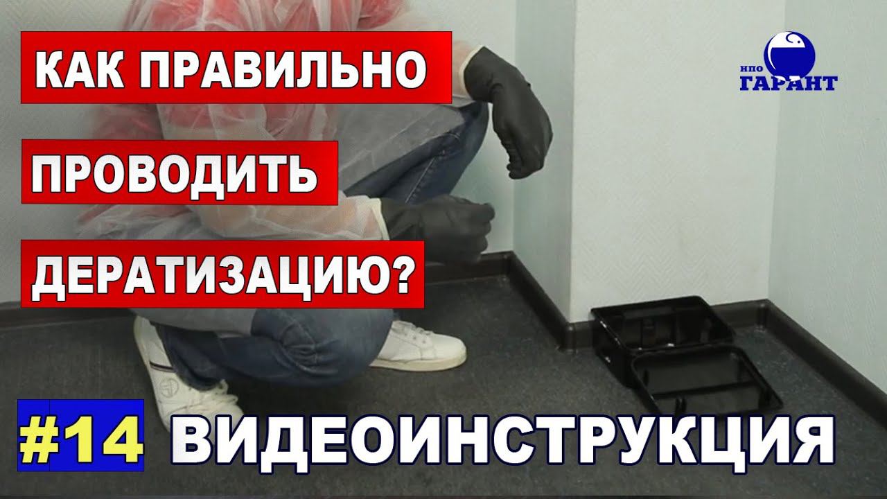 Как правильно проводить дератизацию? Уничтожение крыс и мышей. ВИДЕООБЗОР.