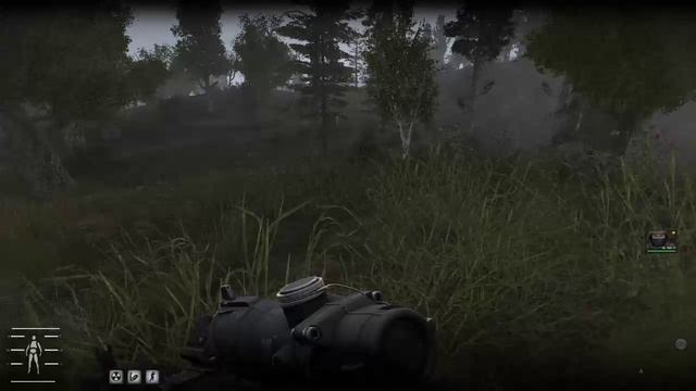 Stalker Anomaly Redux прохождение - Турпоход: лучшие друзья человека