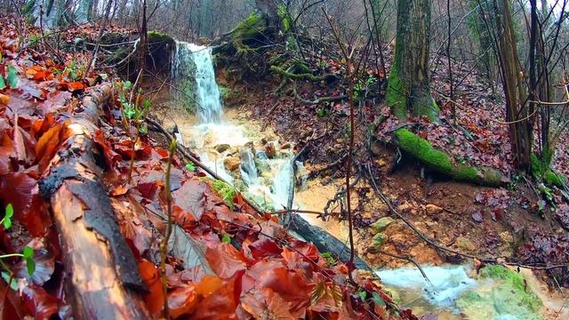 Осень