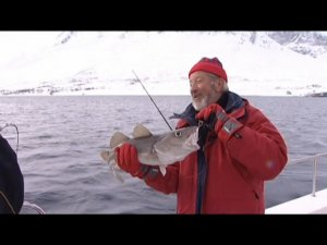 Рыбалка с Джоном Вильсоном (John Wilson's Fishing World)