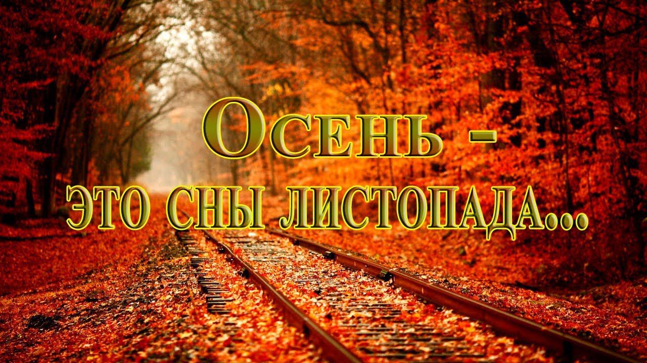 Осень -  это сны листопада*