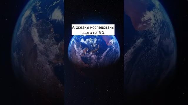 ⭐️НАШ TELEGRAM в шапке профиля Подписывайся ✅Там ты найдёшь ещё больше интересных фактов