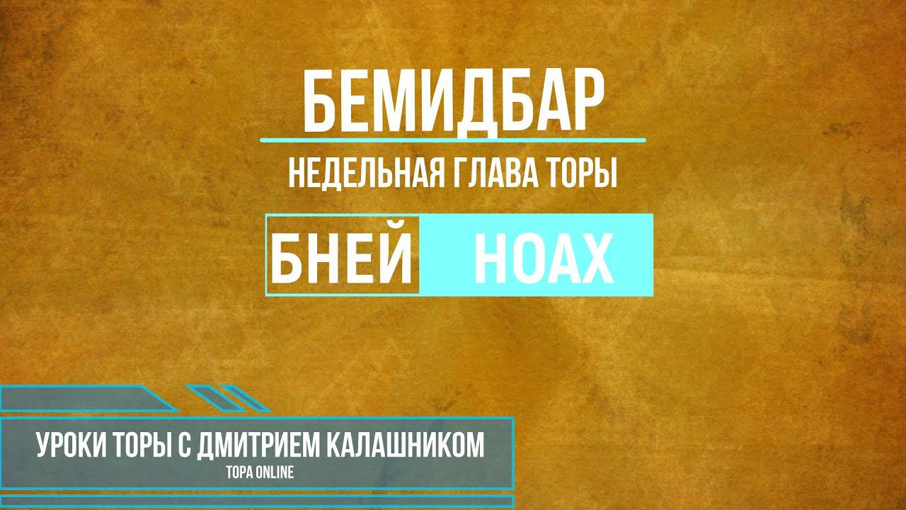 Недельная глава ТОРЫ "Бемидбар" , книга "Бемидбар" (Числа) 5780. Уроки Торы для ноахидов.