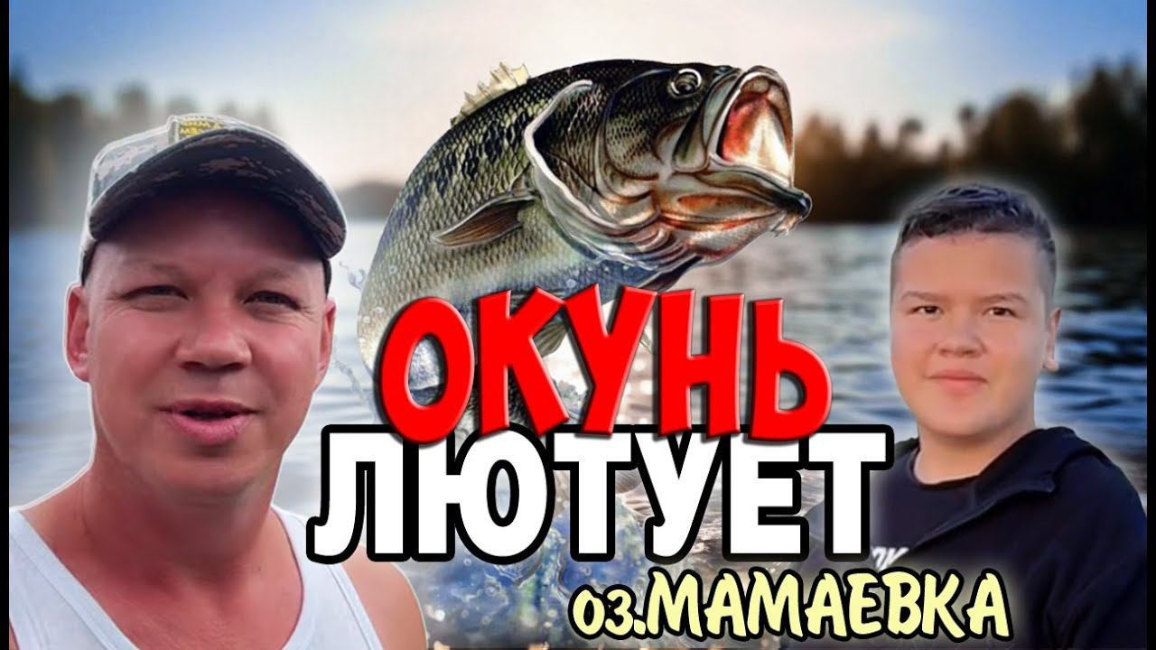 Окунь лютует(оз.Мамаевка).