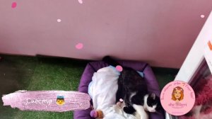 ? Малыш принимает солнечные ванны ?