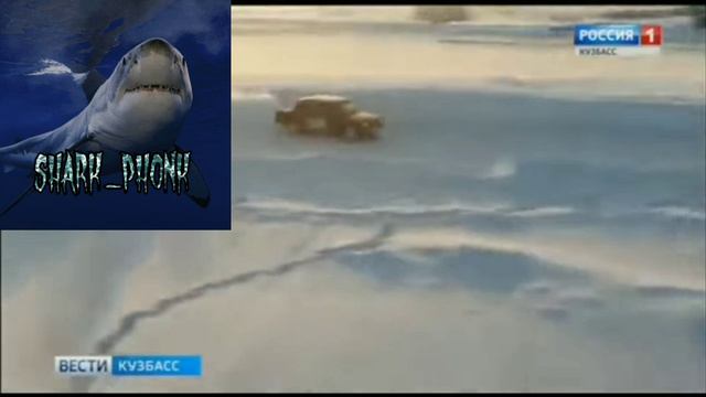 Полиция дрифтит под ThoG&Cure-X-Shark_Phonk