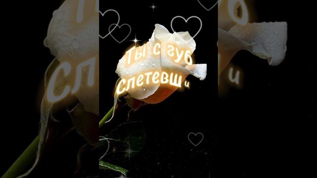 Ты мой