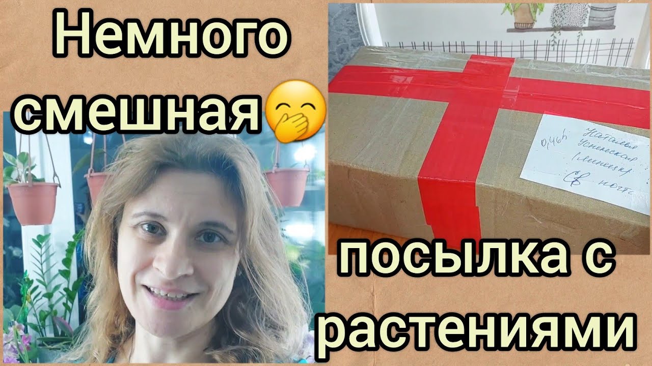Когда очень хочется?Немного смешная #посылка ?Чем обрабатываю новые #растения #цветы #распаковка