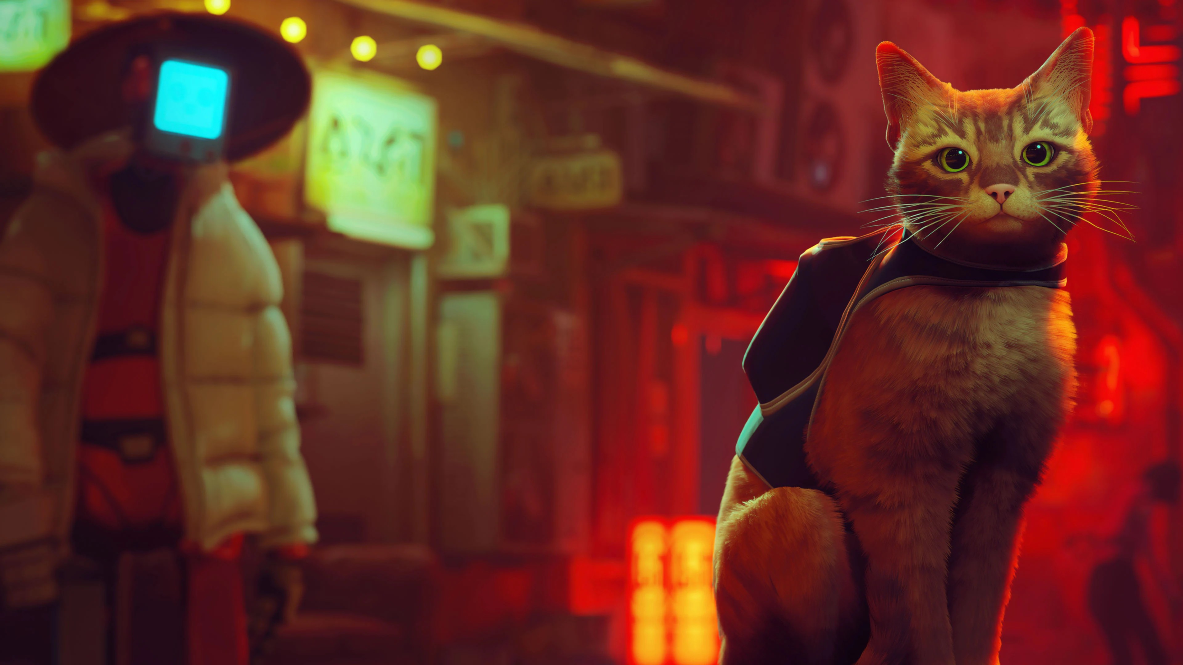 Stray #2 (без комментариев)