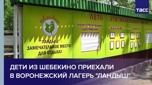 Дети из Шебекино приехали в воронежский лагерь "Ландыш" #shorts