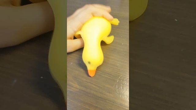 очень хочу этих двух гусей 🪿🥺🦆