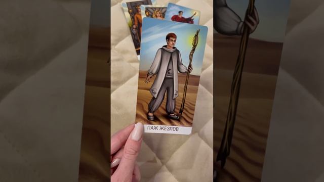 Паж жезлов / таро значение