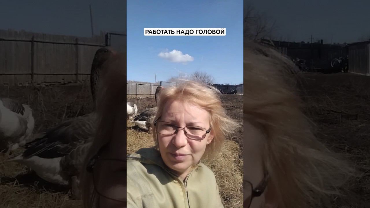 ПОСЛЕ ПОТОПА  НУЖНЫ ДЕНЬГИ БУДУ ЗАРАБАТЫВАТЬ В ГЛОБАЛ ТРЕНД КОМПАНИИ  #глобалтренд #млм