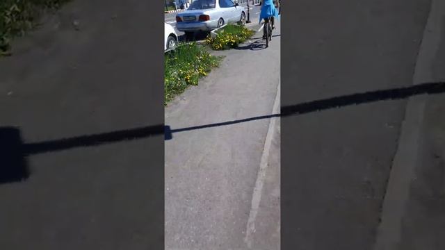 ВЕЛОПРОГУЛКА В ЕЛИЗОВО