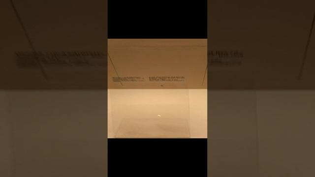 Исторический музей