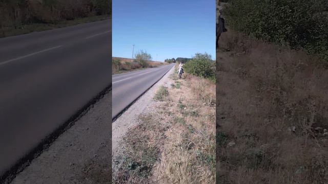 1000111562.mp4