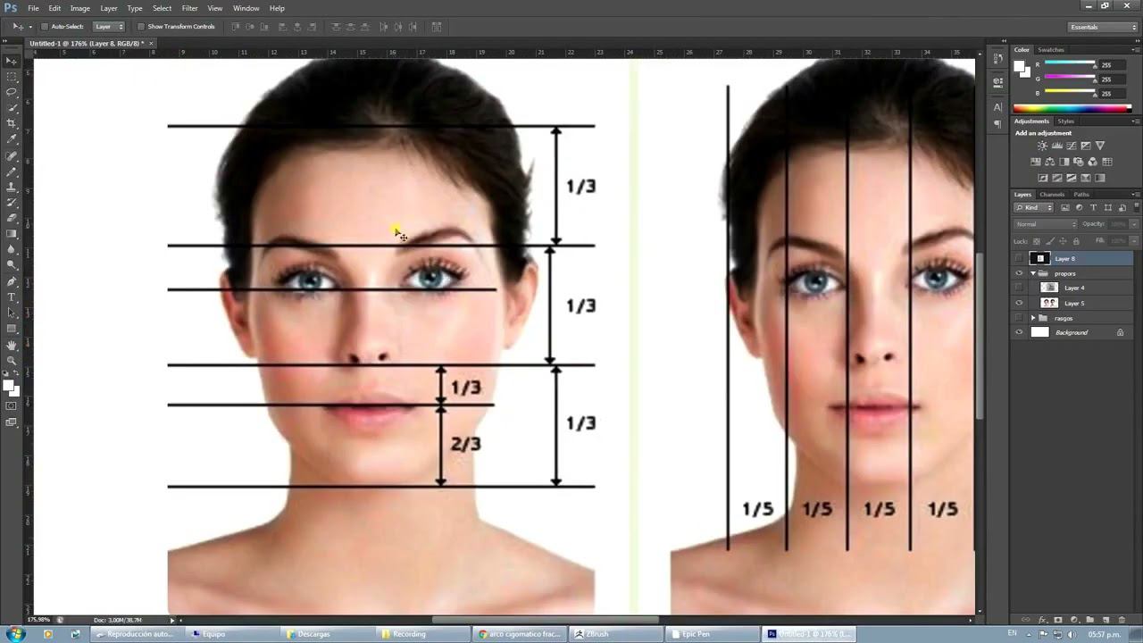 Anat Vol 02 08  Standard and Head Proportion Part1 2