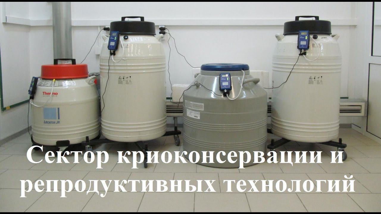 Репортаж про лабораторию, в которой я работаю
