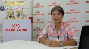 Популярно о сложном кошки и гены. Законы распределения генетической информации.