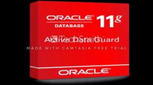 Oracle Database System software