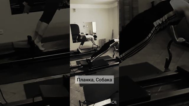 Реформеры. Отрывок тренировки.