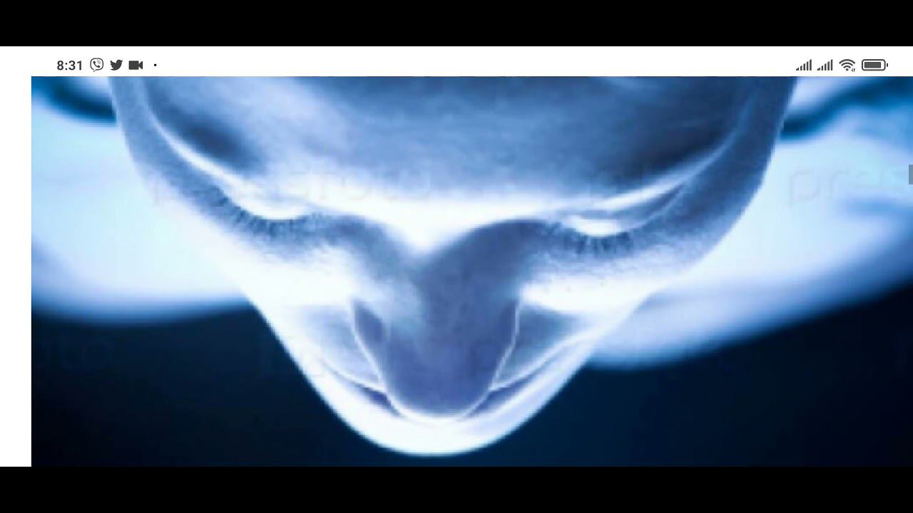 Ветхий завет о надежде часть 4