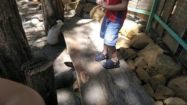 Поездка на МОРЕ в 2024 году на машине ч.4