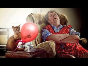 ПРИКОЛЫ С ЖИВОТНЫМИ ДО СЛЕЗ. Смешные КОТЫ 2023. Приколы с КОТАМИ