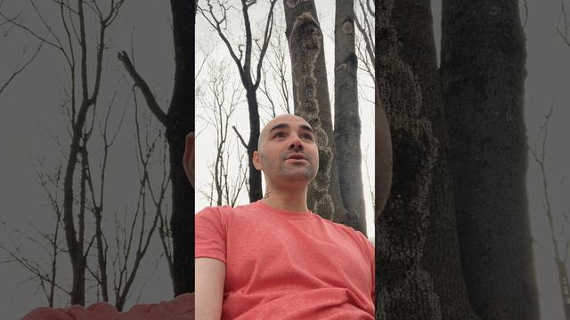 Прогноз погоды из парка