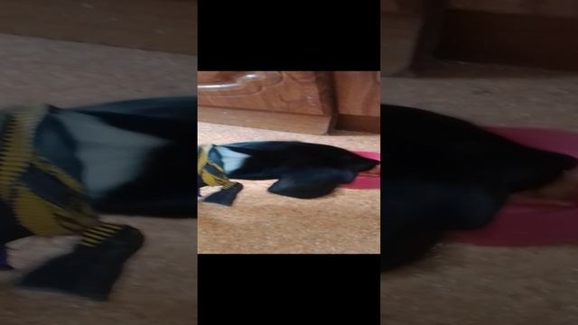 Федькина пасха.mp4