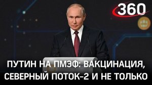 Путин на ПМЭФ-2021: программа для бизнеса и реакция Подмосковья