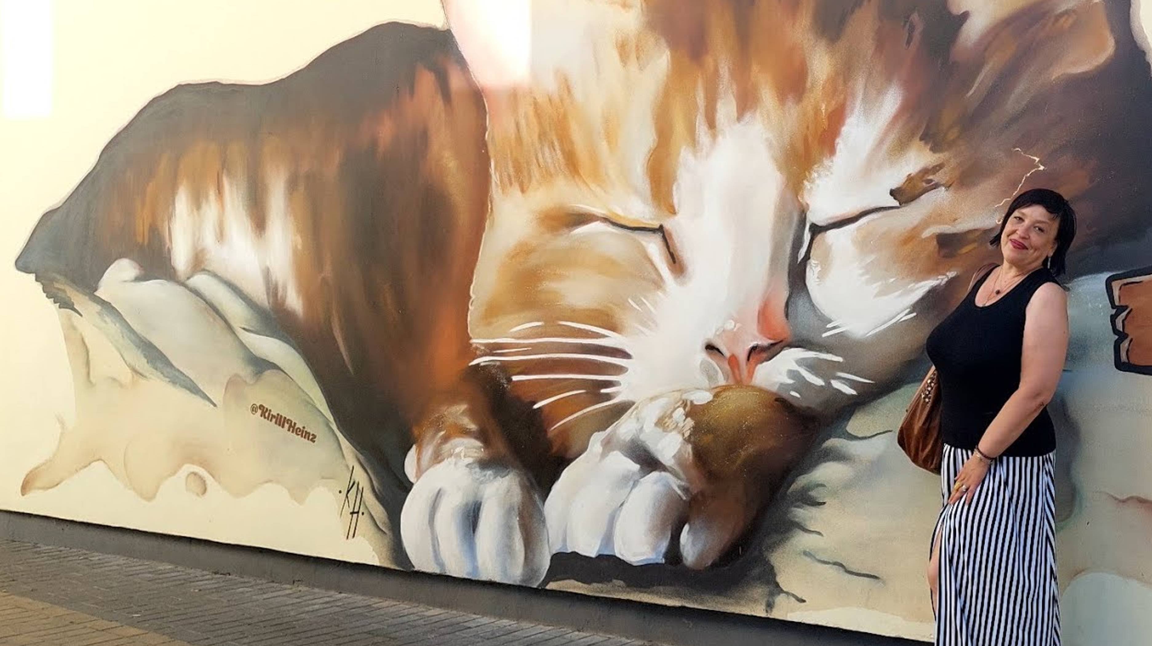 Мой отпуск. День 4. Прогулка по Зеленоградску. Коты, коты, коты...всюду котики