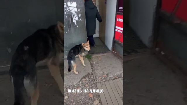 Ну дайте покушать! Мне расти надо!