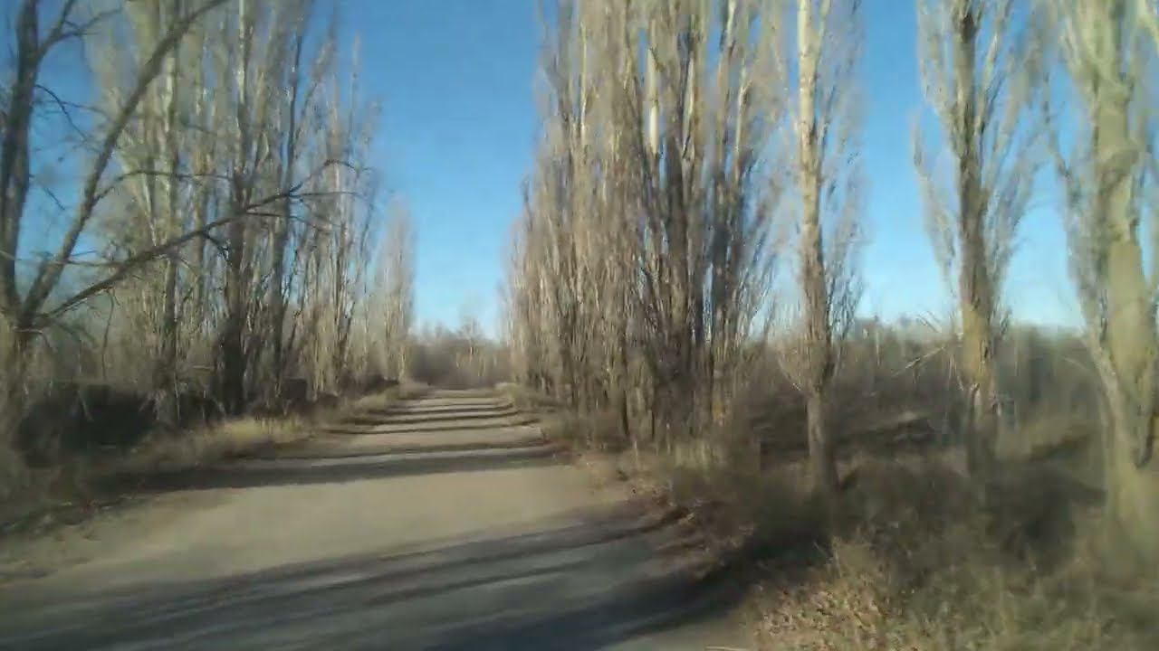 Дорога к базам отдыха под Марксом)