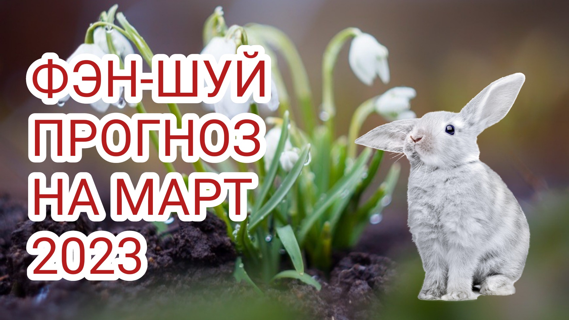 Фэн-шуй прогноз на март 2023 || Месяц Деревянного Кролика#3