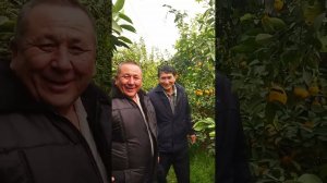 Улугбек, Кабул, Фергана, Яйпан, Горский